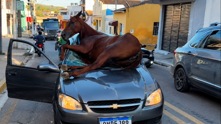 Cavalo solto na pista causa grave acidente e é arremessado contra carro ...